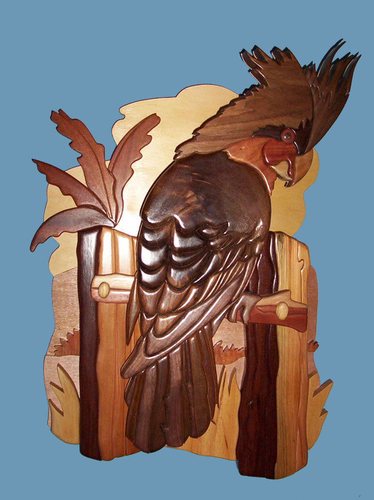 Customers Photo Gallery – Fantastic Woodworking
