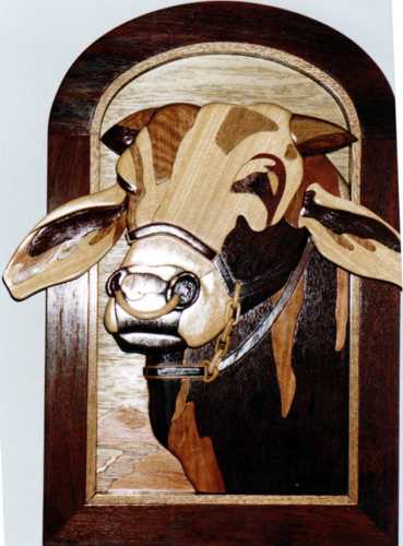 Customers Photo Gallery – Fantastic Woodworking