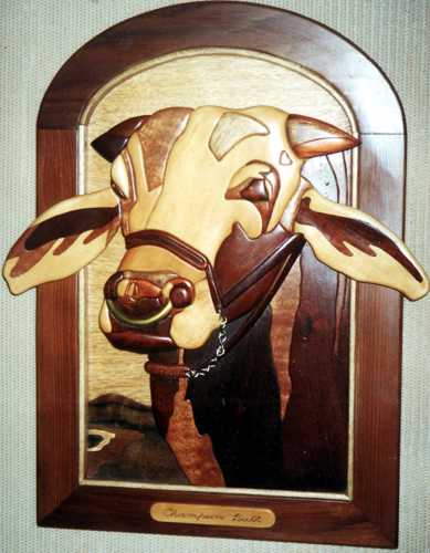 Customers Photo Gallery – Fantastic Woodworking