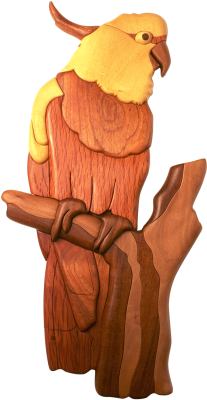 Customers Photo Gallery – Fantastic Woodworking