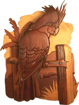 Customers Photo Gallery – Fantastic Woodworking