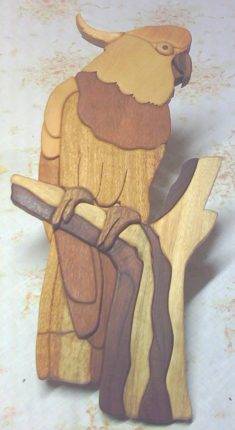 Customers Photo Gallery – Fantastic Woodworking