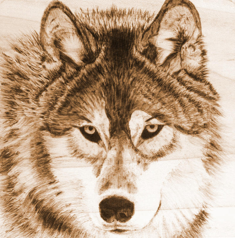 Customers Photo Gallery 2 – Fantastic Woodworking
